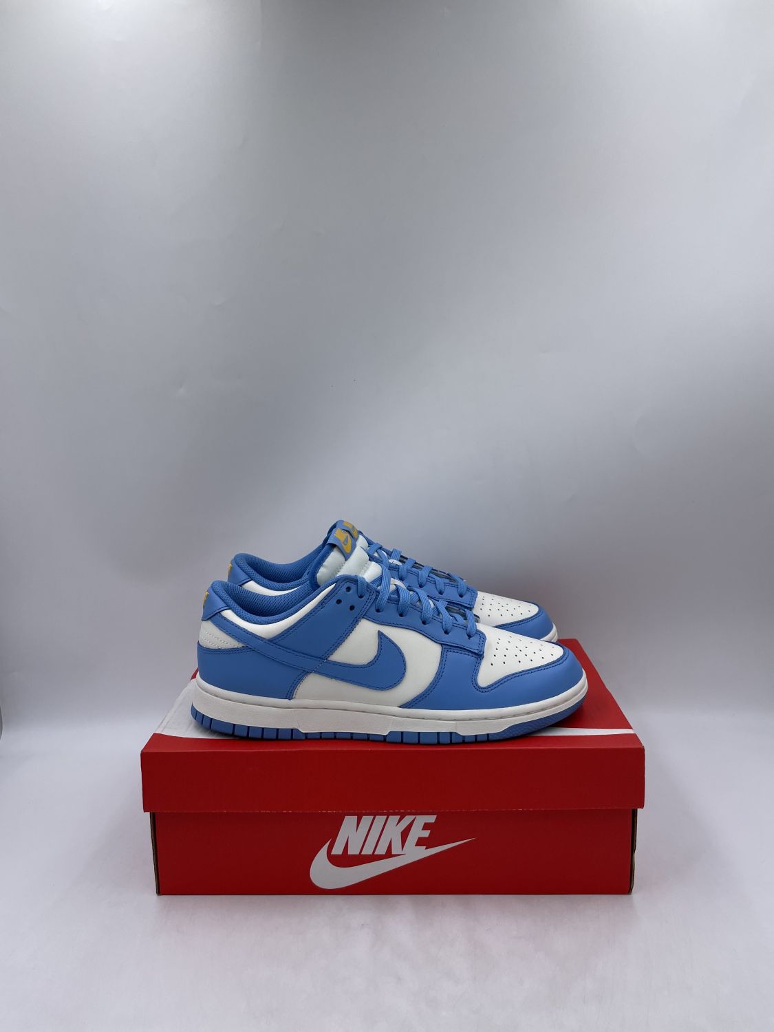 Nike Dunk Low Coast (Womens) | AfterMarket